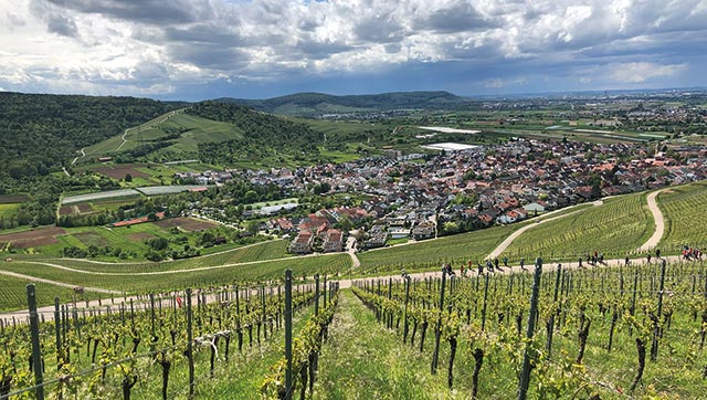 Der Rundweg | Biblischer Wein Wanderweg